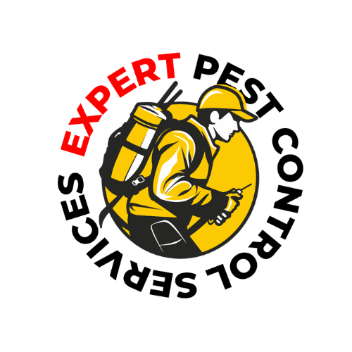 Expert Pest Control Services Dhaka | Govt Approved